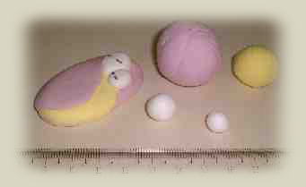 Figure of Negai Project